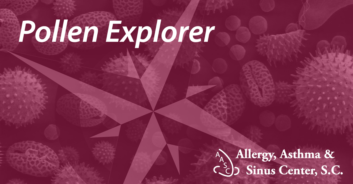 Pollen Explorer | Allergy, Asthma & Sinus Center