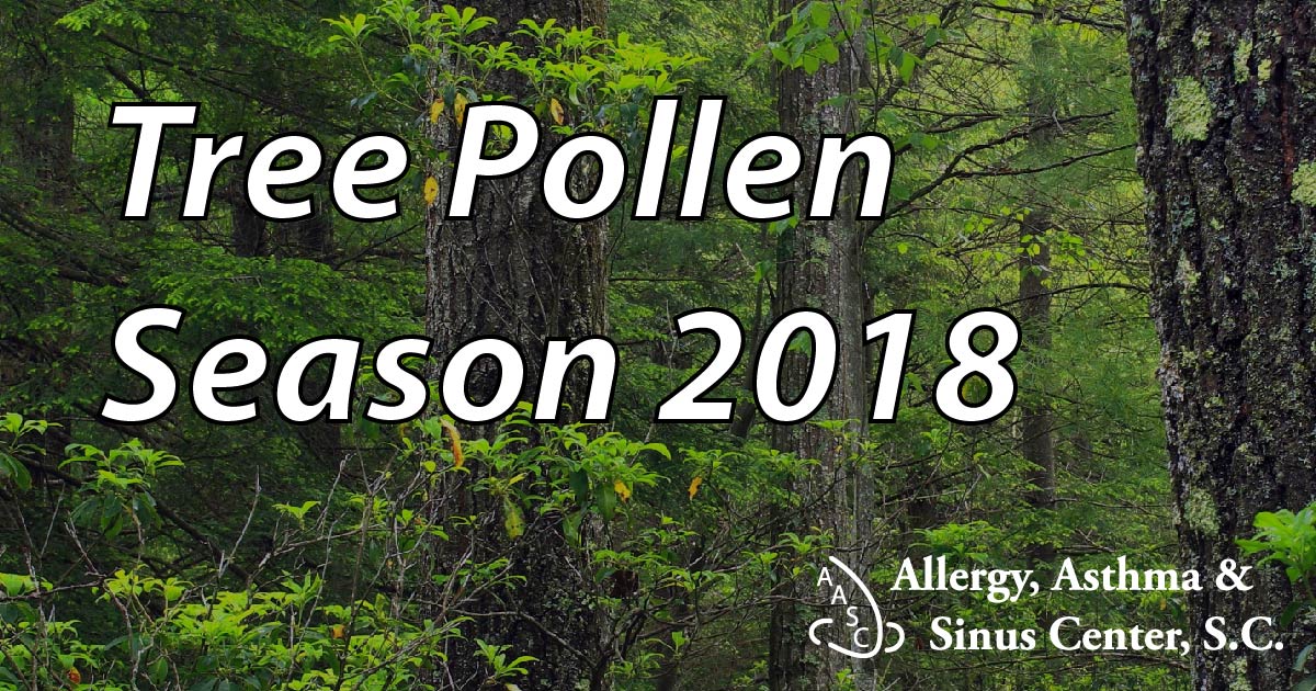 Tree Pollen Allergy