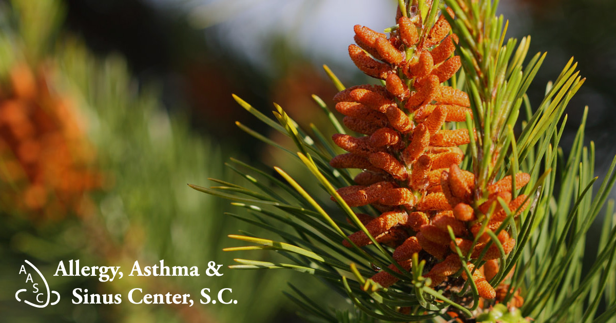 Tree pollen season is here!